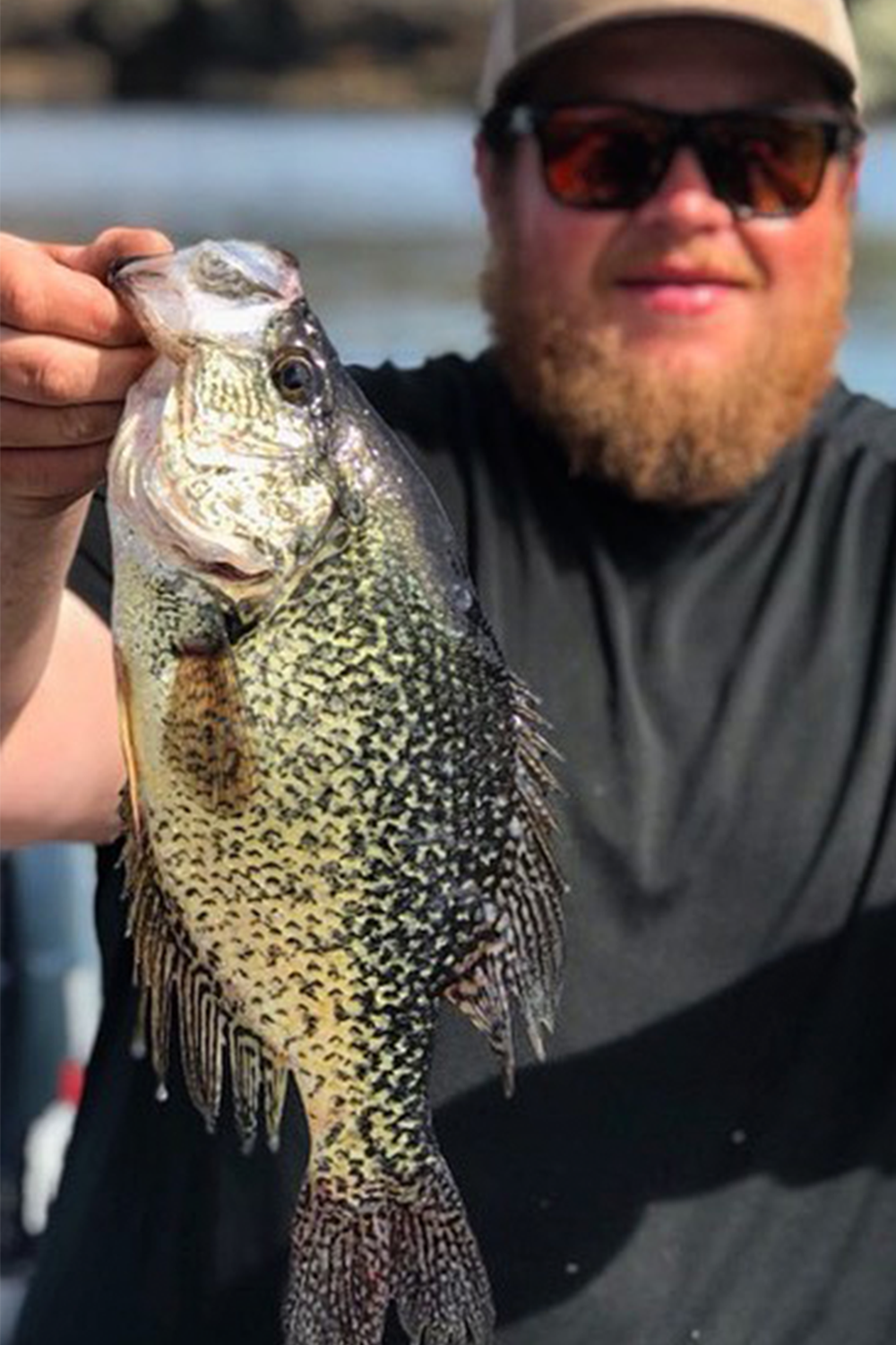 Crappie & Panfish